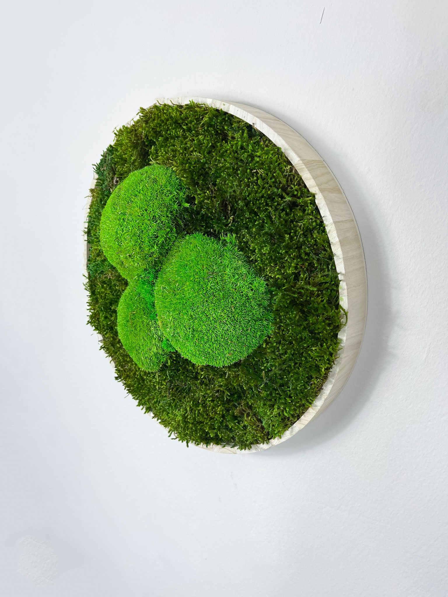 Moosbild Rund, Kreis| Gedankenwunder Manufaktur – Gedankenwunder HomeDecor